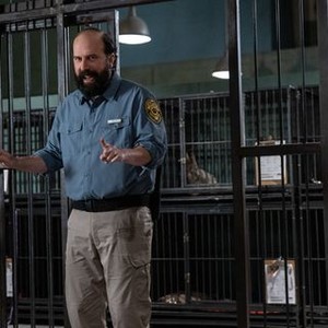 Strays - Rotten Tomatoes