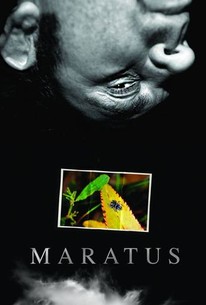 Maratus | Rotten Tomatoes