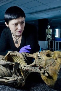 History Cold Case: Season 1, Episode 1 | Rotten Tomatoes