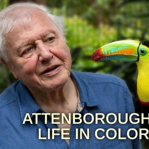 Attenborough's Life in Colour: Miniseries, Episode 1 - Rotten Tomatoes