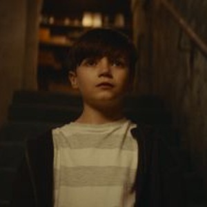 The Cellar - Rotten Tomatoes