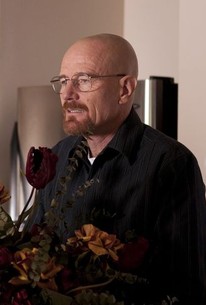 Breaking Bad: Season 3, Episode 7 | Rotten Tomatoes