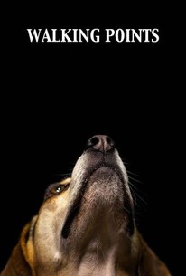 Walking Points | Rotten Tomatoes