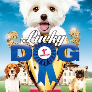 Lucky Dog - Rotten Tomatoes