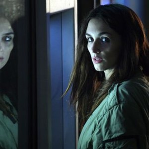 Cat Run - Rotten Tomatoes