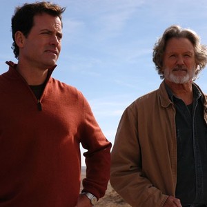 Fast Food Nation - Rotten Tomatoes