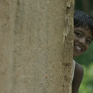 Colours of Innocence - Rotten Tomatoes