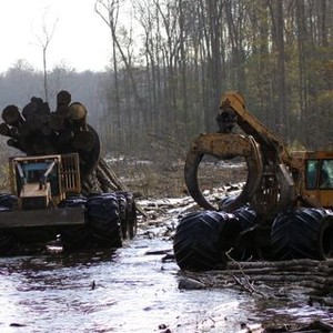 Swamp Loggers - Rotten Tomatoes