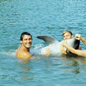 Flipper - Rotten Tomatoes