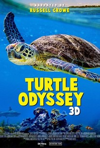 Turtle Odyssey (2018) - Rotten Tomatoes