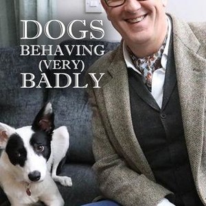 Dogs Behaving (Very) Badly - Rotten Tomatoes