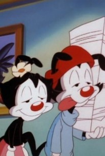 Animaniacs: Season 5, Episode 4 | Rotten Tomatoes