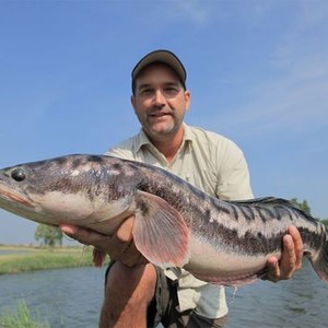 Zeb Hogan - Rotten Tomatoes