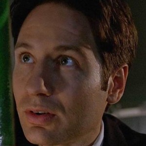The X-Files - Rotten Tomatoes