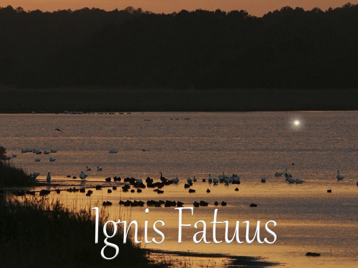 Ignis Fatuus