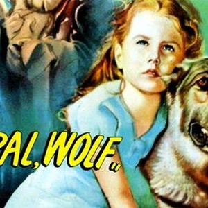 My Pal, Wolf - Rotten Tomatoes