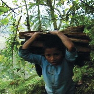 The Inheritors - Rotten Tomatoes