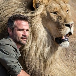 The Lion Ranger - Rotten Tomatoes