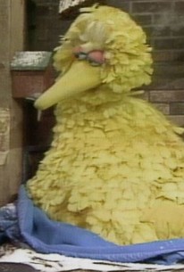 Sesame Street: Season 7, Episode 2 | Rotten Tomatoes