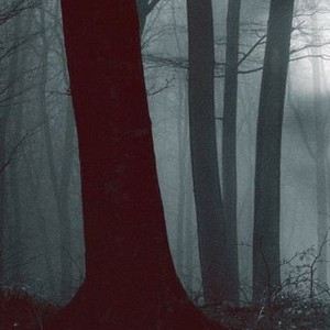 28 Days Haunted - Rotten Tomatoes