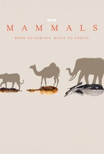 Mammals (2024) | Rotten Tomatoes