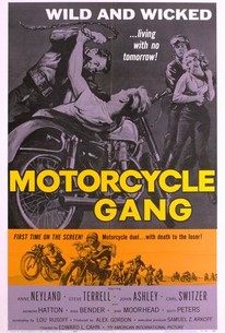 Motorcycle Gang | Rotten Tomatoes