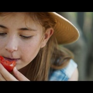 Harper - Rotten Tomatoes