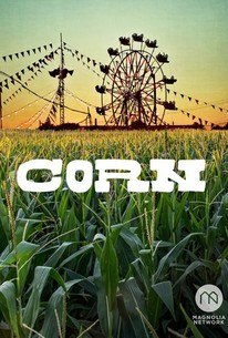 Corn: Season 1 | Rotten Tomatoes