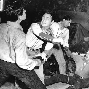 Marshall Reed - Rotten Tomatoes