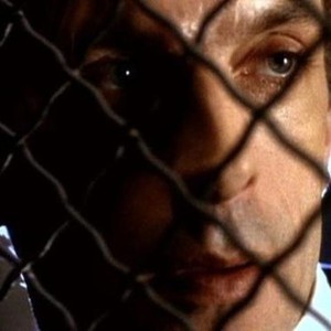 The Hunger: Season 1 - Rotten Tomatoes