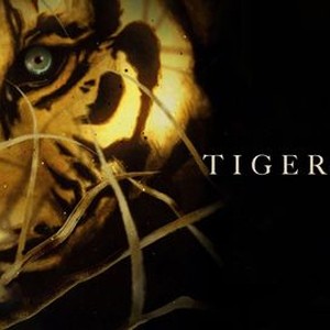 Tigerland - Rotten Tomatoes