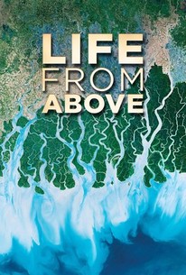 Life From Above: Season 1 | Rotten Tomatoes