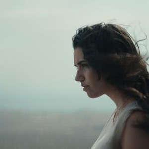 Fall - Rotten Tomatoes