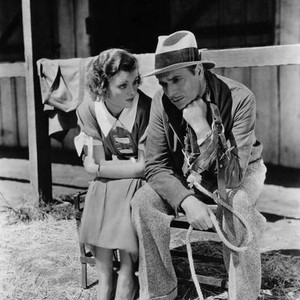 Rotten Tomatoes: Movies | TV Shows | Movie Trailers | Reviews - Rotten Tomatoes