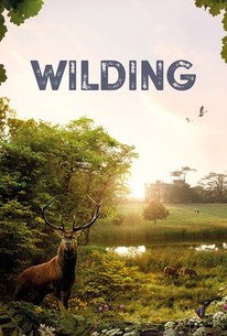 Wilding | Audience Reviews | Rotten Tomatoes