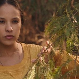 Isa - Rotten Tomatoes