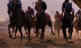 Dreamer: Inspired by a True Story - Rotten Tomatoes