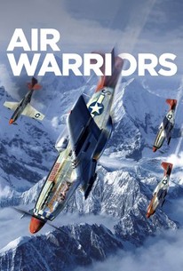 Air Warriors - Rotten Tomatoes
