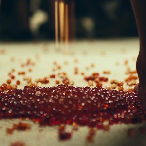 Bite - Rotten Tomatoes