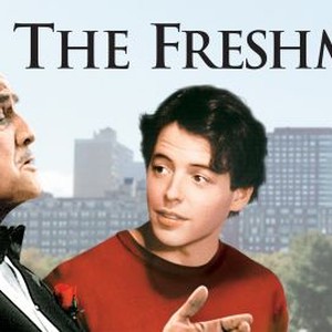 The Freshman - Rotten Tomatoes