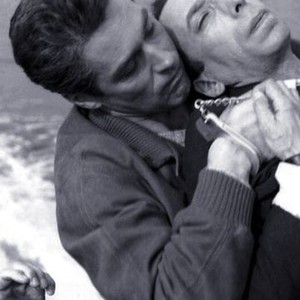 OSS 117 - Rotten Tomatoes