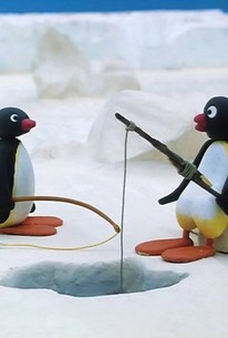 Pingu: Season 3, Episode 18 - Rotten Tomatoes