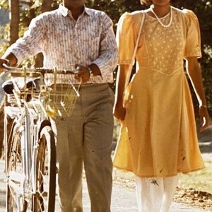 Hun Hunshi Hunshilal - Rotten Tomatoes