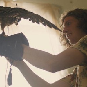 The Falconer - Rotten Tomatoes