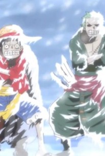 One Piece: Season 16, Episode 8 | Rotten Tomatoes