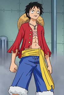 One Piece: Season 17, Episode 75 | Rotten Tomatoes