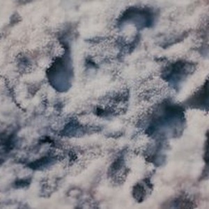 Masking Threshold - Rotten Tomatoes