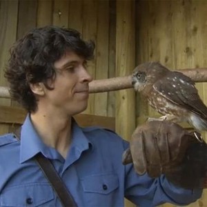 Andy's Wild Adventures: Season 2, Episode 20 - Rotten Tomatoes