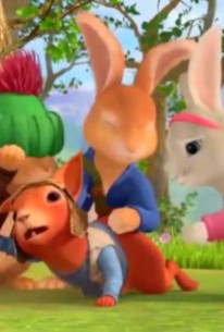 Peter Rabbit: Season 3, Episode 10 - Rotten Tomatoes