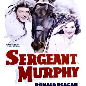 Sergeant Murphy - Rotten Tomatoes